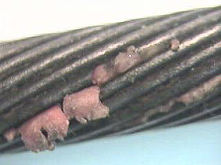 Effect of Temperature on Wireline Cables